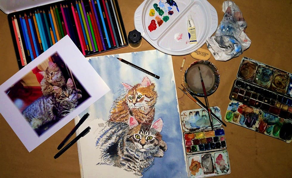 Papel Canson o Que É, Para que Serve e Características